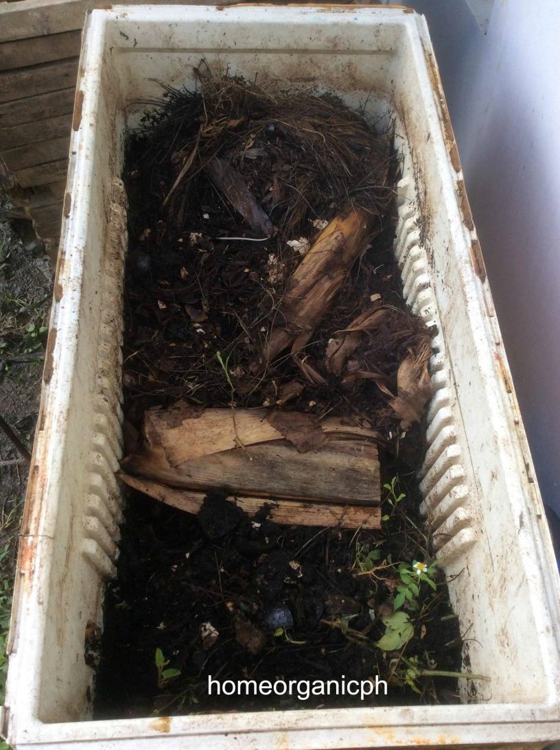 How To Make Vermicompost At Home for Organic Fertilizer