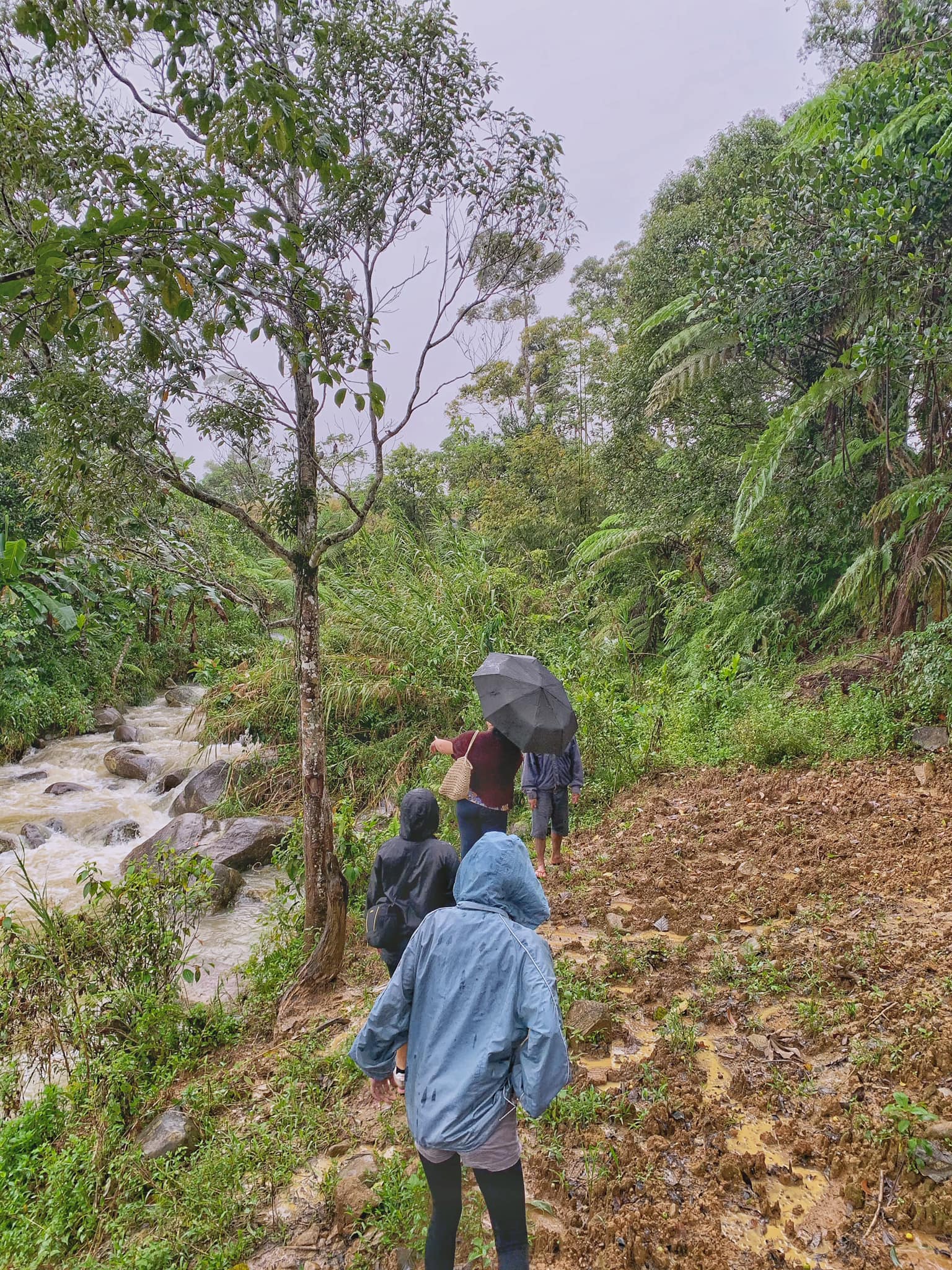 Our Philippine Cinnamon Social Enterprise Journey