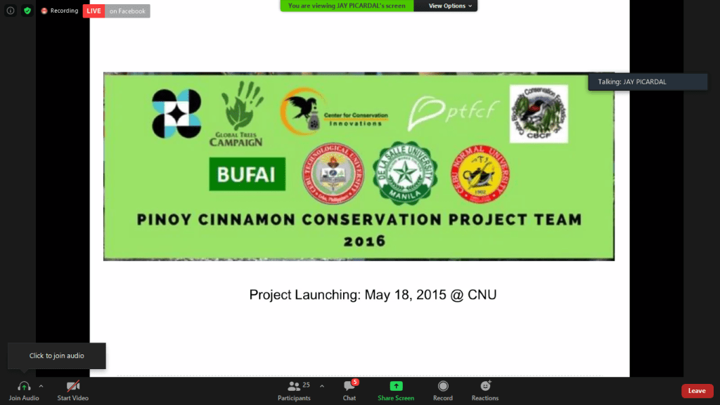 Let’s Bring Back the Philippine Cinnamon – Plantsville Health