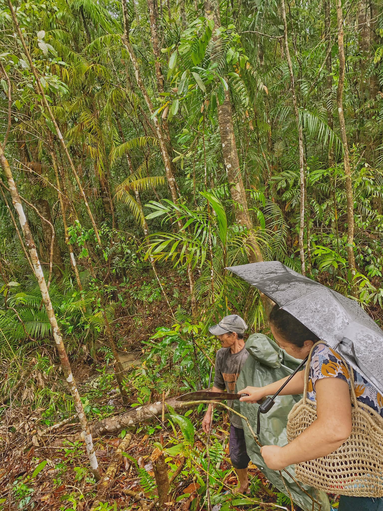Visiting The Cinnamon Farmers at Don Salvador Benedicto, Negros Occidental